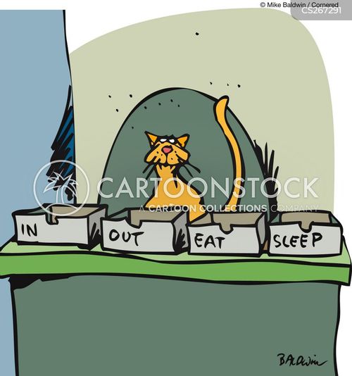 Unmitigated Gall Cartoons and Comics - funny pictures from CartoonStock