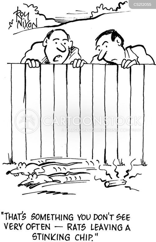 Unusual Sight Cartoons and Comics - funny pictures from CartoonStock