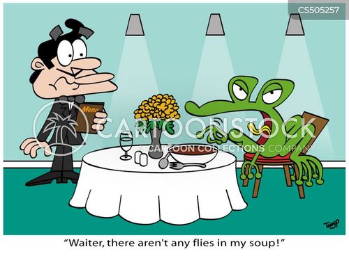 Fly In Soup Cartoons and Comics - funny pictures from CartoonStock