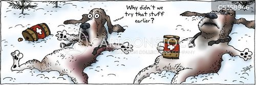 Saint Bernards Cartoons and Comics - funny pictures from CartoonStock