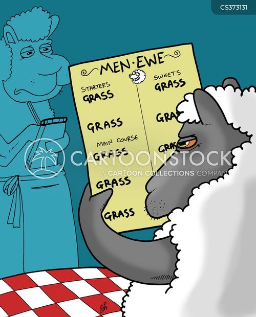 Sheep Offal Cartoons and Comics - funny pictures from CartoonStock