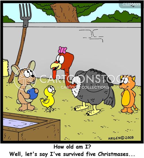 Organic Turkey Cartoons and Comics - funny pictures from CartoonStock