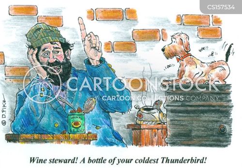 Steward Cartoons and Comics - funny pictures from CartoonStock
