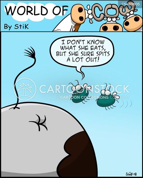 Cowpoo Cartoons and Comics - funny pictures from CartoonStock