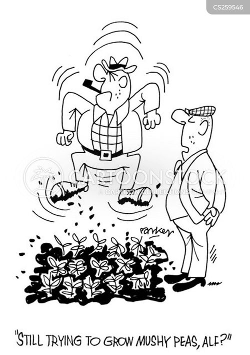 Vegetable Plot Cartoons and Comics - funny pictures from CartoonStock