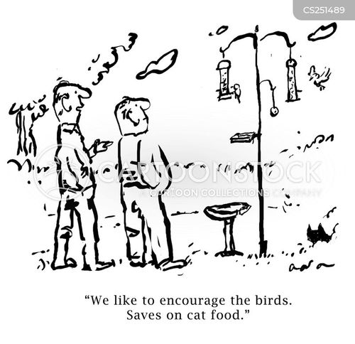 Bird Table Cartoons and Comics - funny pictures from CartoonStock