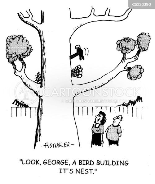 Building A Nest Cartoons and Comics - funny pictures from CartoonStock