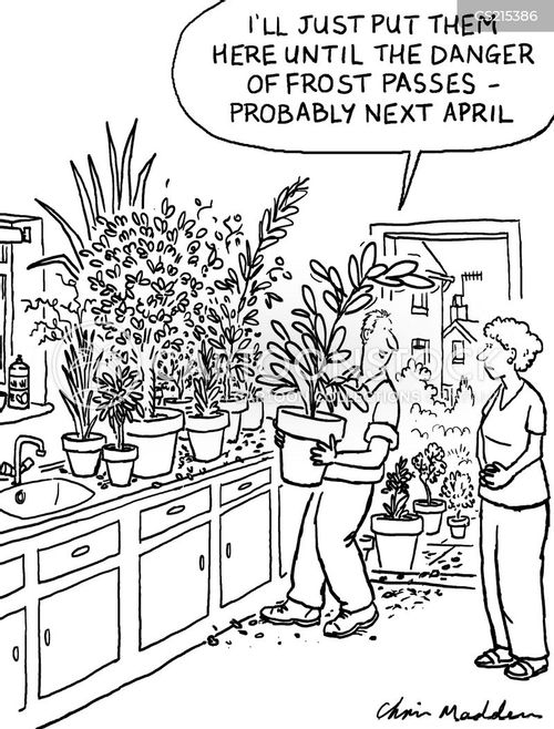 Botanic Gardens Cartoons and Comics - funny pictures from CartoonStock