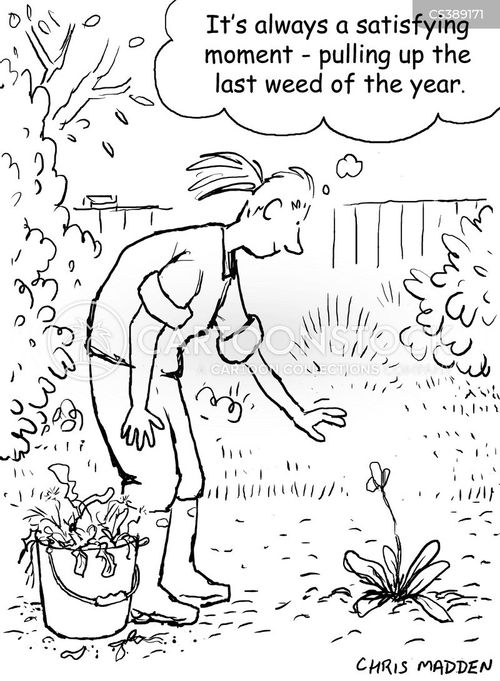 Weeder Cartoons and Comics - funny pictures from CartoonStock