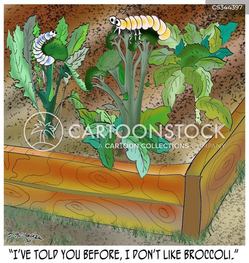 Vegetable Gardener Cartoons and Comics - funny pictures from CartoonStock