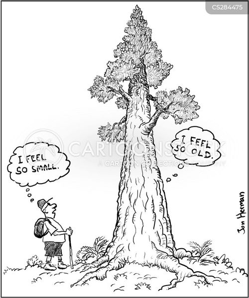 Redwood Cartoons and Comics - funny pictures from CartoonStock