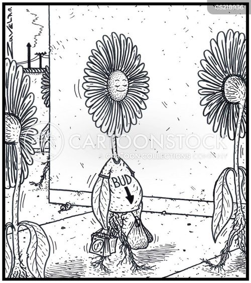 Bud Cartoons and Comics - funny pictures from CartoonStock