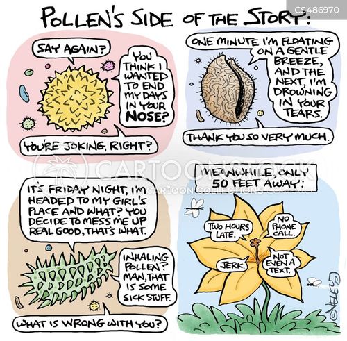 Pollen Cartoons and Comics - funny pictures from CartoonStock