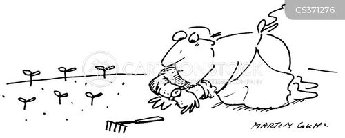 Flower Seed Cartoons and Comics - funny pictures from CartoonStock