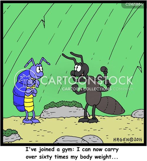Body Weight Cartoons and Comics - funny pictures from CartoonStock