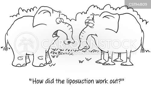 Liposuction Cartoons and Comics - funny pictures from CartoonStock