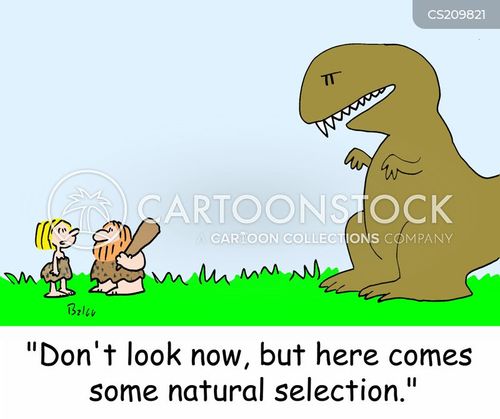 Survival Of The Fittest Cartoons and Comics - funny pictures from ...