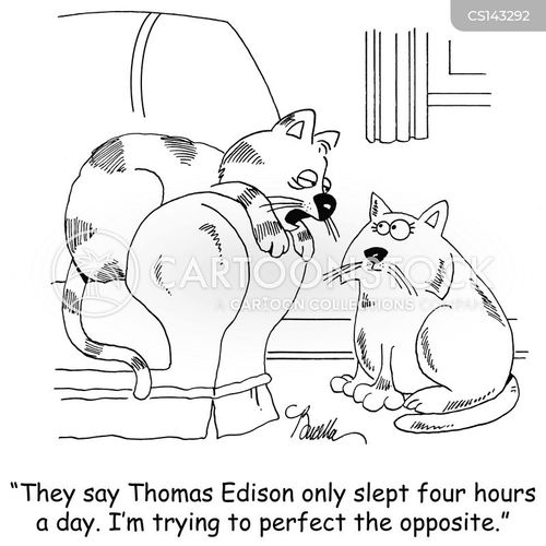 Cat Nap Cartoons and Comics - funny pictures from CartoonStock