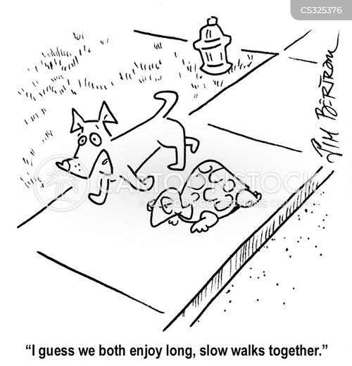 Tortoise Owner Cartoons and Comics - funny pictures from CartoonStock