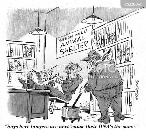 Animal Shelter Cartoons and Comics - funny pictures from CartoonStock