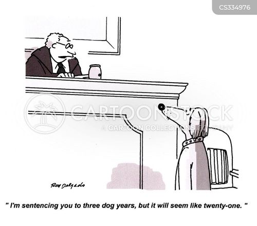 Animal Years Cartoons and Comics - funny pictures from CartoonStock