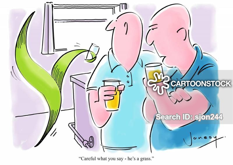 Snitches Cartoons and Comics - funny pictures from CartoonStock