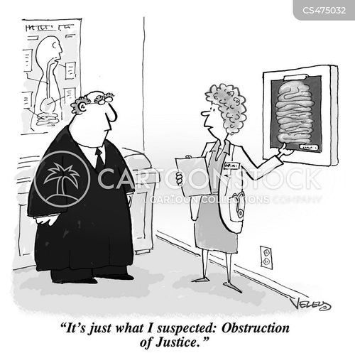 Obstruction Of Justice Cartoons and Comics - funny pictures from ...