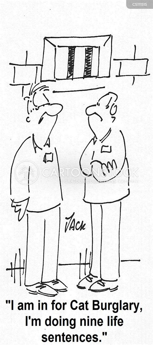 Cat Burglar Cartoons and Comics - funny pictures from CartoonStock