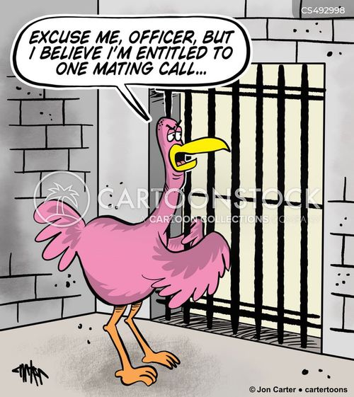 Mating Call Cartoons and Comics - funny pictures from CartoonStock