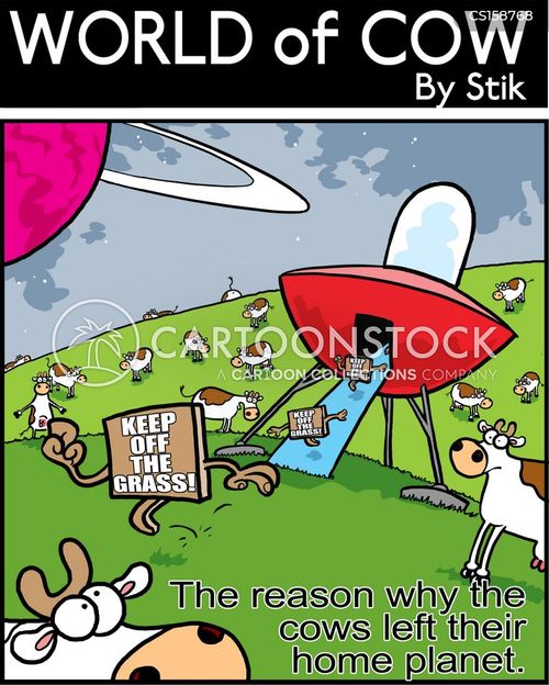 Fazer Cartoons and Comics - funny pictures from CartoonStock