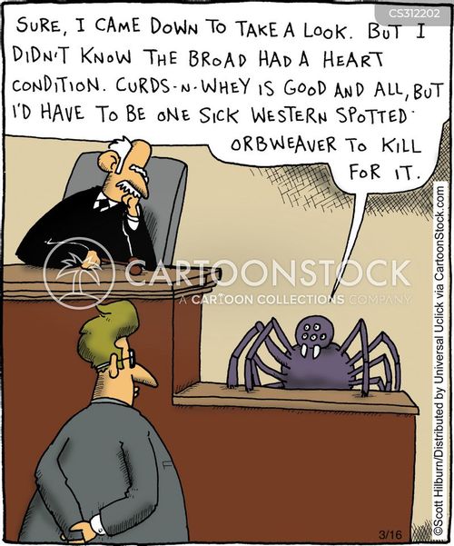 Killing Spider Funny