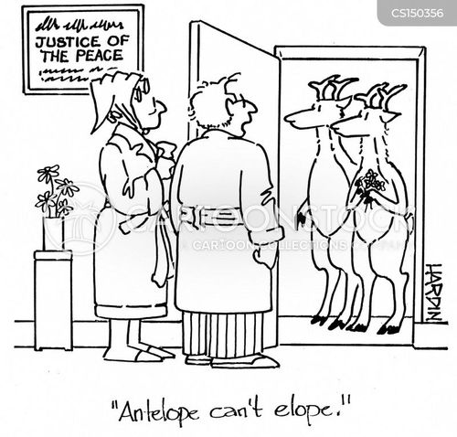 Skycaps Cartoons and Comics - funny pictures from CartoonStock