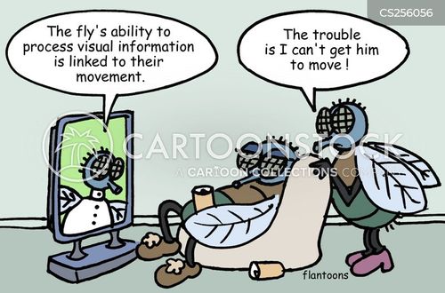 Nature Program Cartoons and Comics - funny pictures from CartoonStock