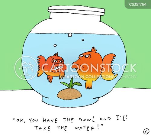 Betta Fishes Cartoons and Comics - funny pictures from CartoonStock