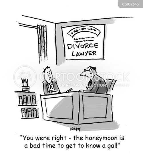 Divorce Proceedings Cartoons and Comics - funny pictures from CartoonStock