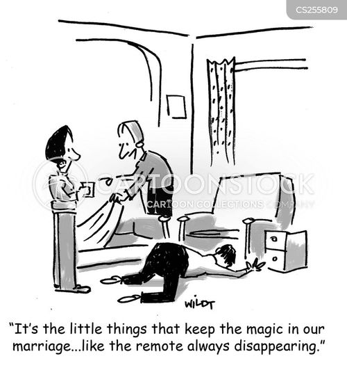 Searching For Remote Cartoons and Comics - funny pictures from CartoonStock