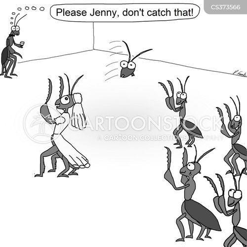 Praying Mantises Cartoons and Comics - funny pictures from CartoonStock