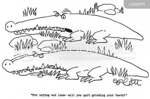 Aligator Cartoons and Comics - funny pictures from CartoonStock