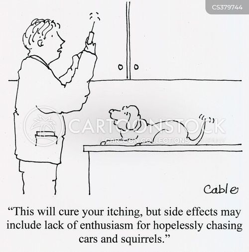 Chasing Squirrels Cartoons and Comics - funny pictures from CartoonStock