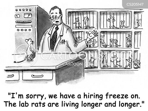 Living Decoration Cartoons and Comics - funny pictures from CartoonStock