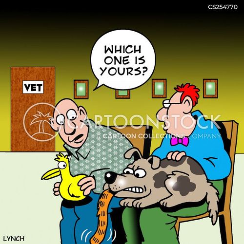 Pet Insurance Cartoons and Comics - funny pictures from CartoonStock
