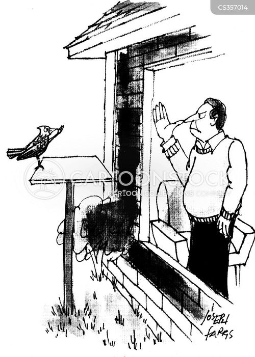 Man Vs Bird Cartoons and Comics - funny pictures from CartoonStock