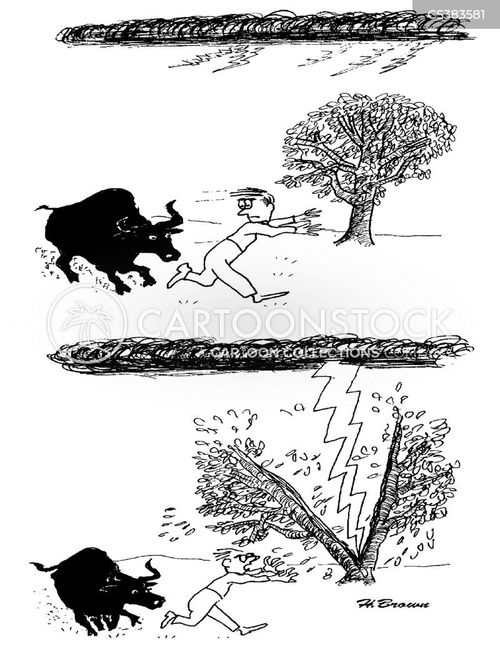 Safe Haven Cartoons and Comics - funny pictures from CartoonStock