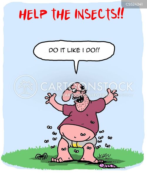 Insects Cartoons and Comics - funny pictures from CartoonStock