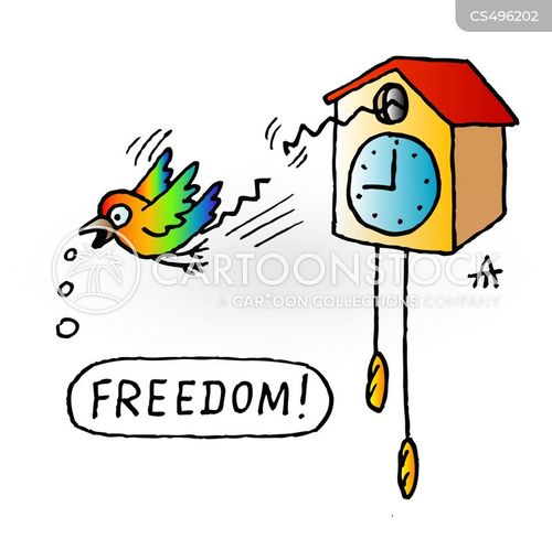 Cuckoo Birds Cartoons and Comics - funny pictures from CartoonStock