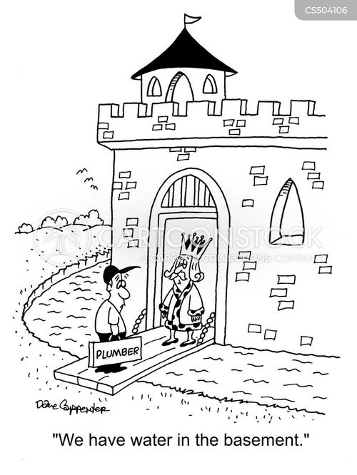 Flooded Basement Cartoons and Comics - funny pictures from CartoonStock