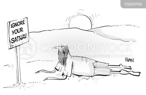 Satnav Cartoons and Comics - funny pictures from CartoonStock
