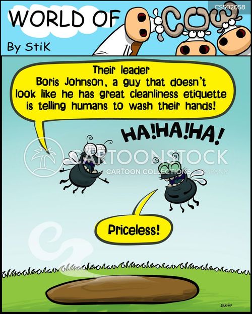 Pandemic Protocols Cartoons and Comics - funny pictures from CartoonStock
