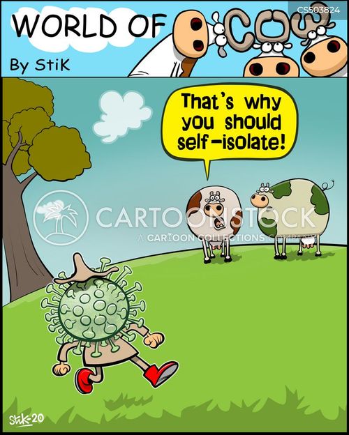 Self Isolations Cartoons and Comics - funny pictures from CartoonStock