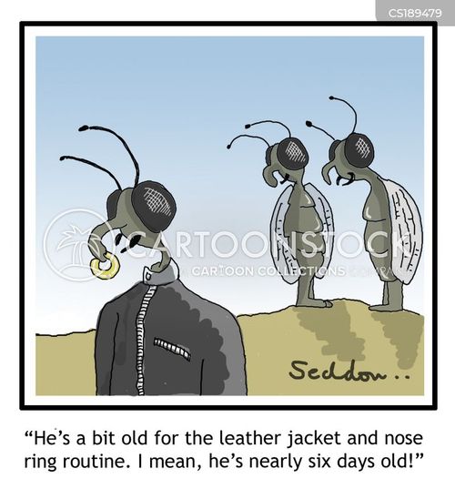 Leather Jacket Cartoons and Comics - funny pictures from CartoonStock